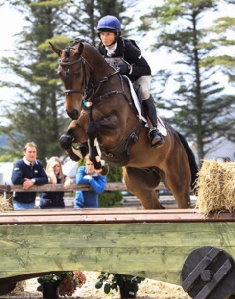 XC Event - Wexford Equestrian